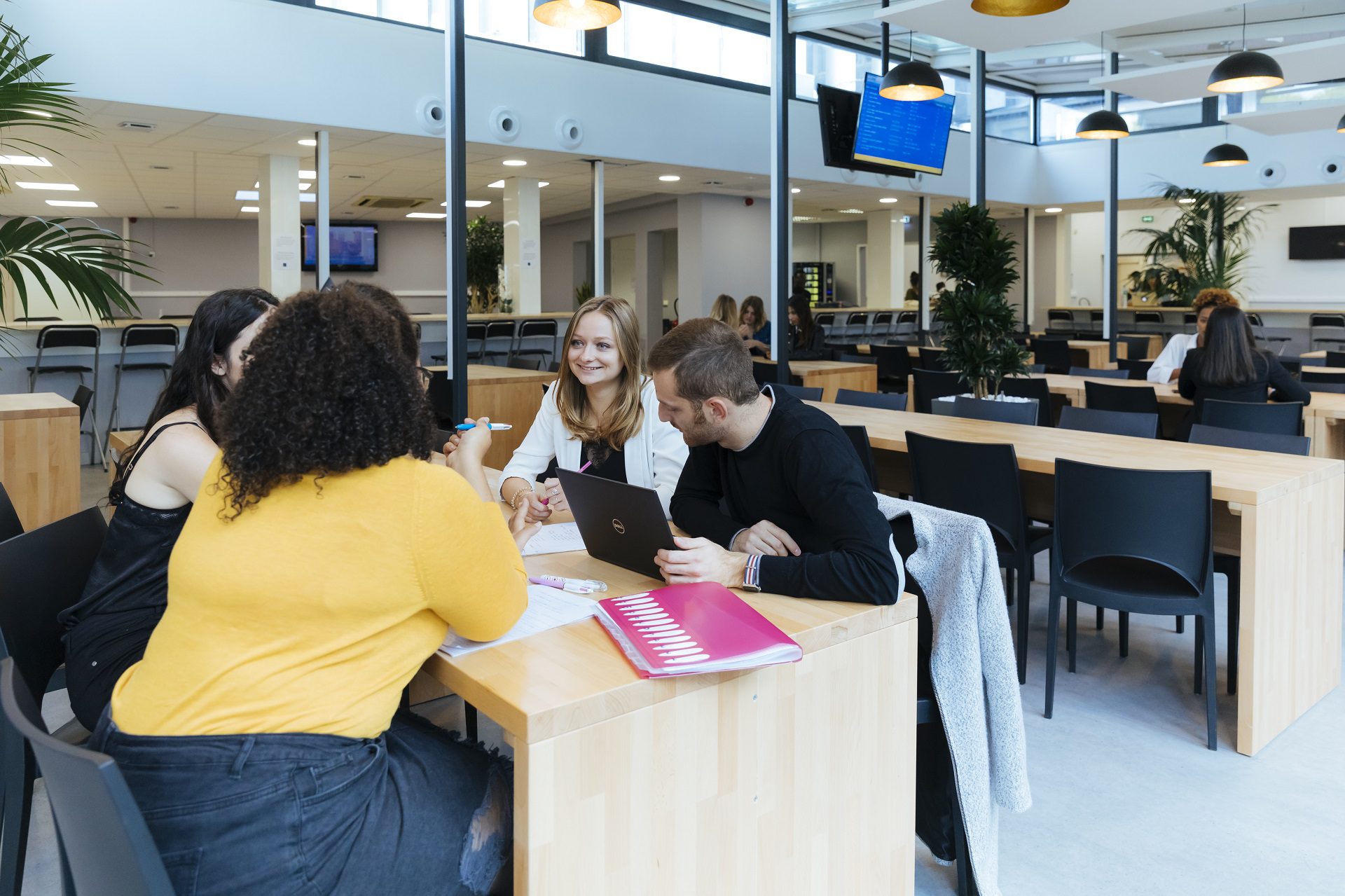 Liste des programmes de formation de MBS