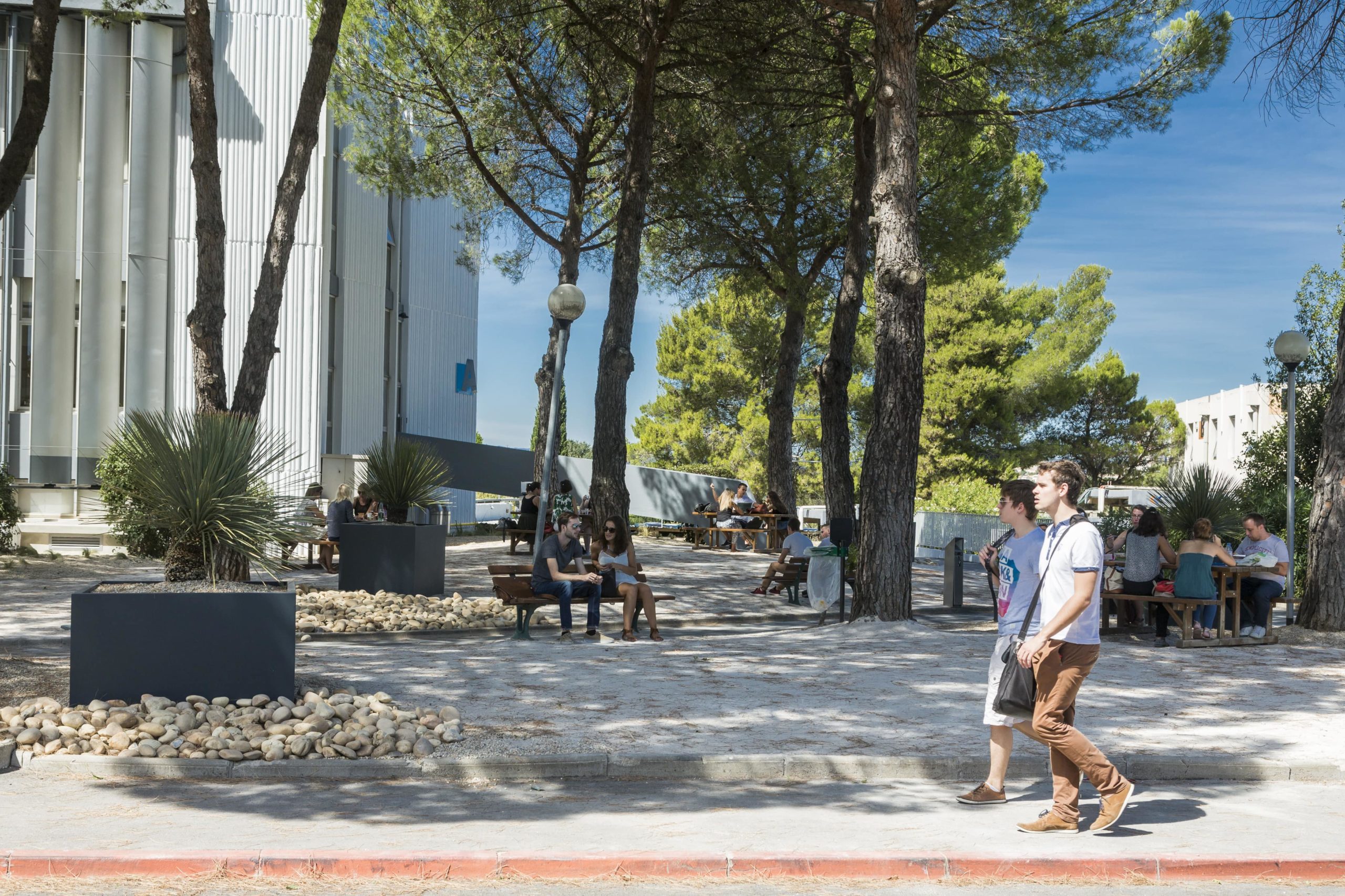 CSR and sustainable development at MBS